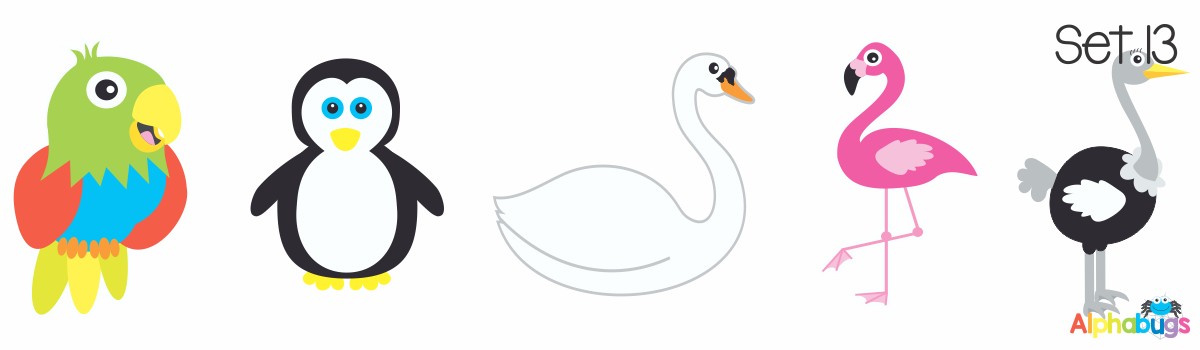 DYO Gift Labels Bubble | Alphabugs