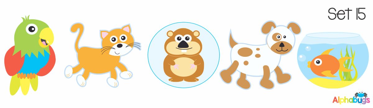 DYO Gift Labels Bubble | Alphabugs