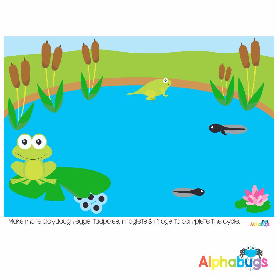 Playdough Mat - Cycles in Nature 1 | Alphabugs