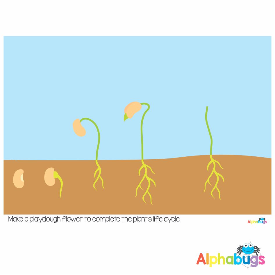 Playdough Mat - Cycles in Nature 5 | Alphabugs